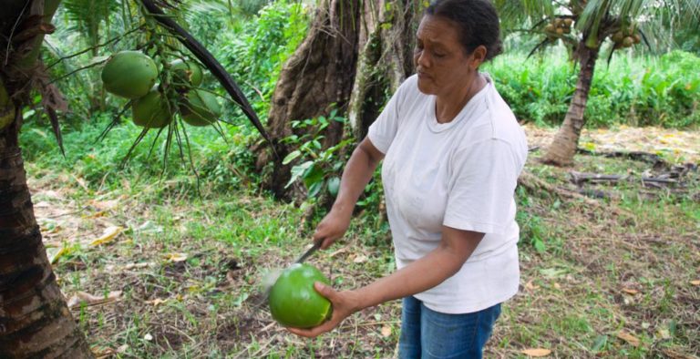 Connie Tinoco: la mujer que trajo la luz a Rocky Point.